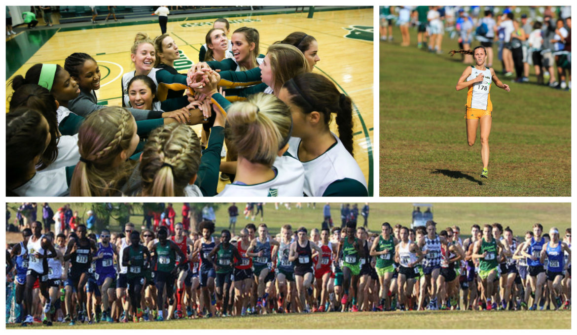 COLLAGE - Spirit Magazine